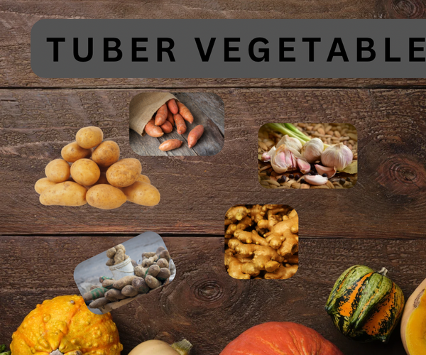Tuber Vegetable – TAZInternational
