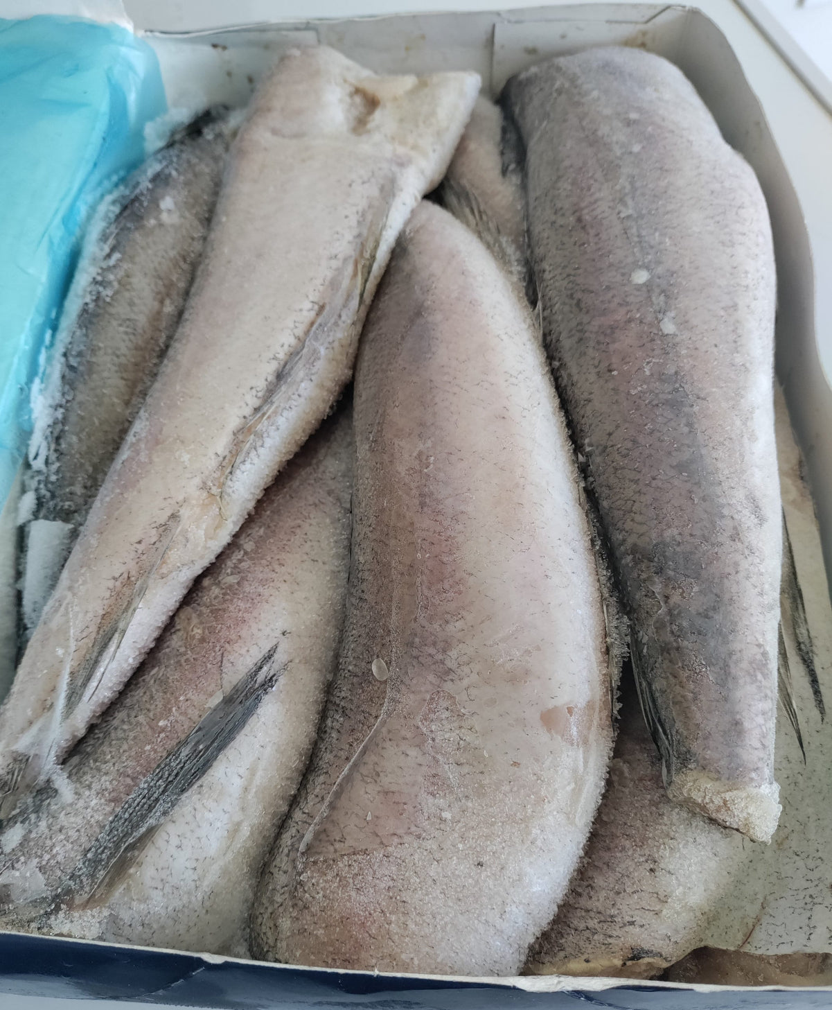 Frozen Pacific Whiting Hake Fish – TAZInternational