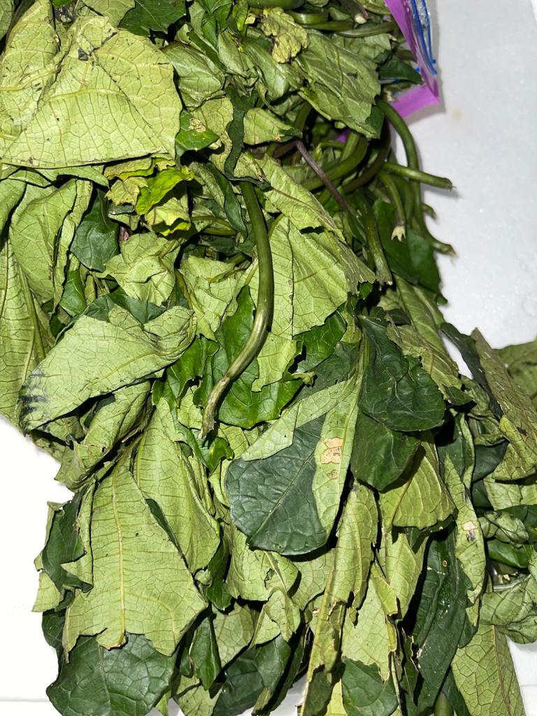 Ugu leaf – TAZInternational