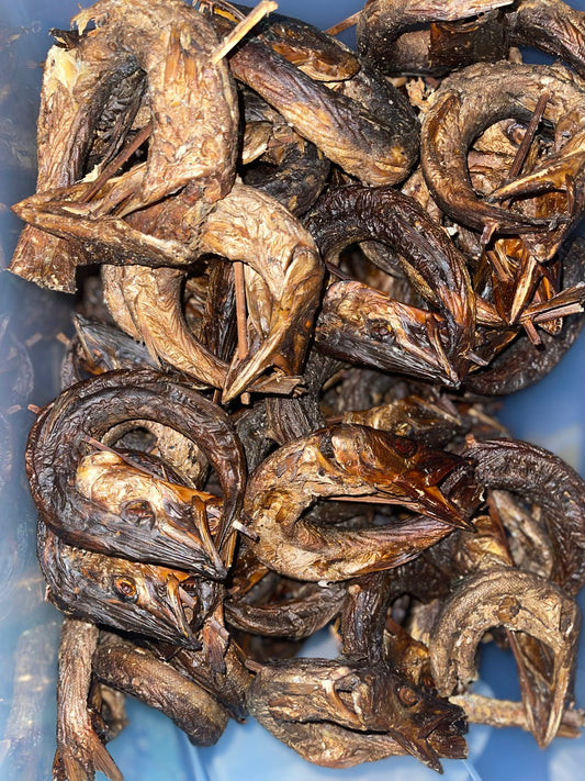 Fish – TAZInternational